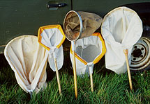 Field Recording & Collection